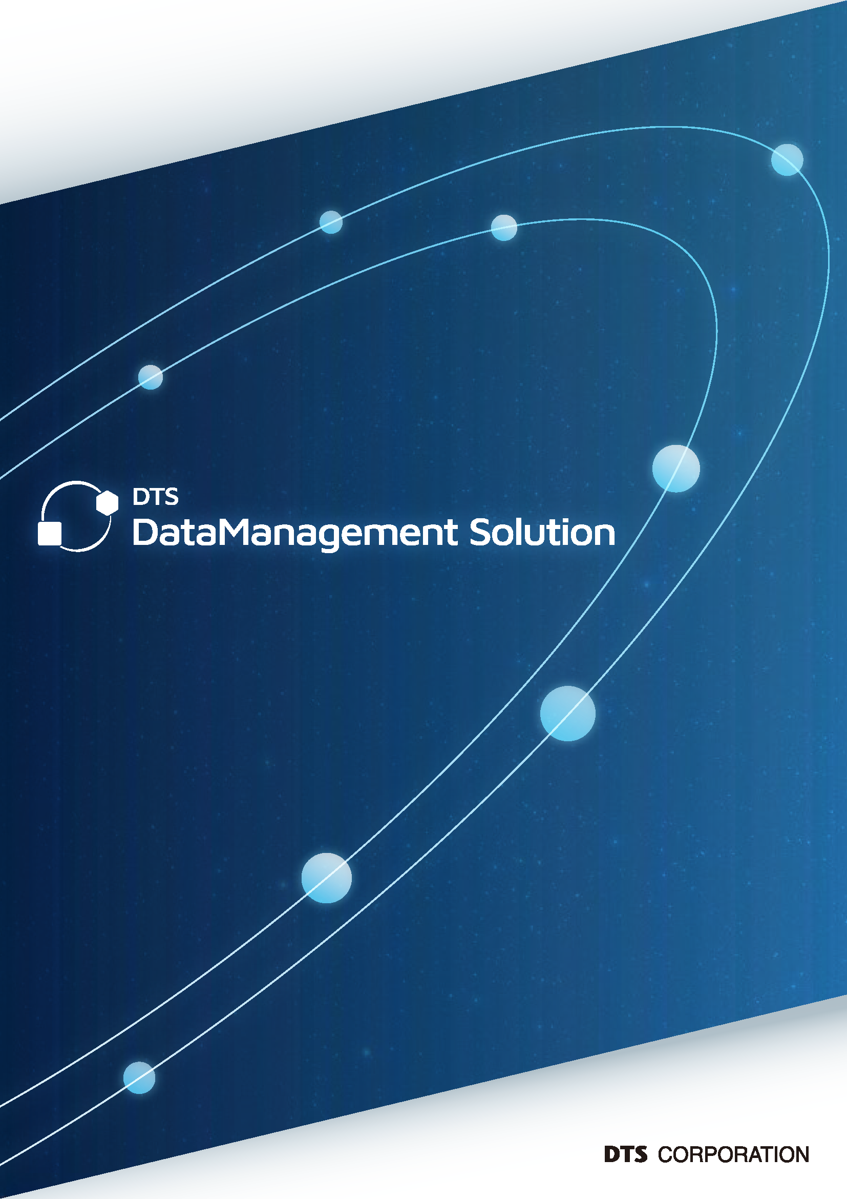資料ダウンロード一覧 | DTS Data Management Solution